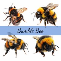 Bee Clipart Bundle, Watercolor Bumble Bee Honeycomb Clip Art PNG ...