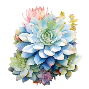 14 Succulents Pastel Clipart Bundle, High-quality JPG, Craft Art, Card ...