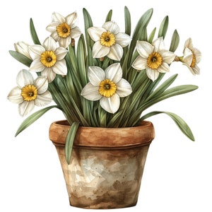 Daffodil in Flower Pot Clipart Bundle, 16 High-quality JPG, Craft Art ...