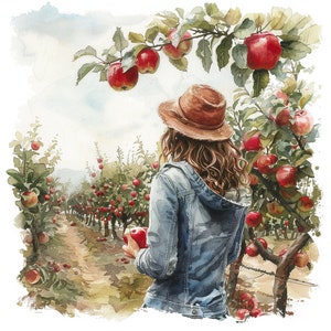 Apple Orchard Picking Clipart Bundle, 12 High-quality JPG, Craft Art ...