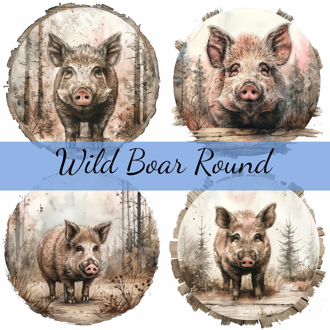 16 Round Vintage Wild Boar Clipart Bundle, 16 High-quality JPG, Craft ...