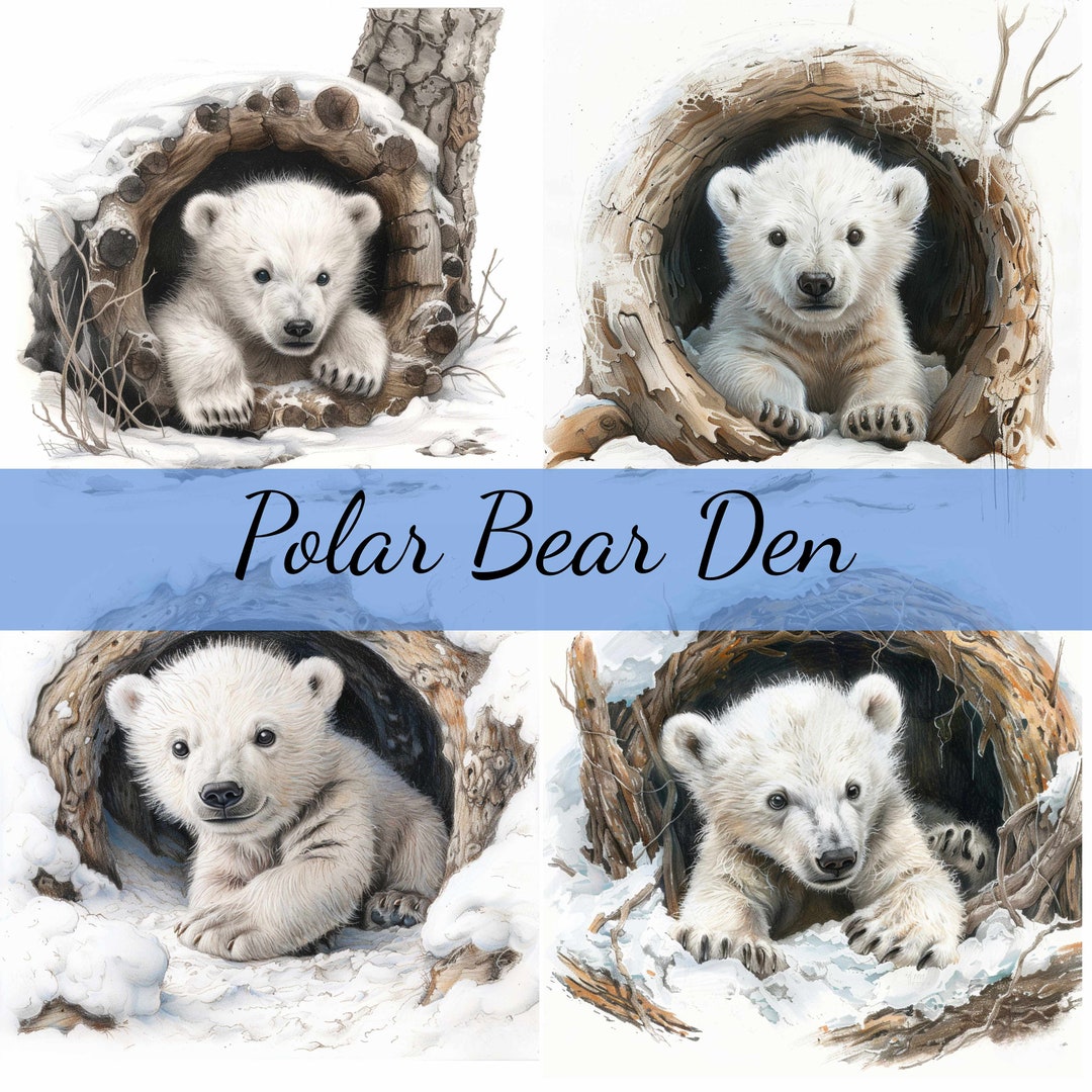 Polar Bear in Snow Den Clipart Bundle, 16 High-quality JPG, Craft Art ...