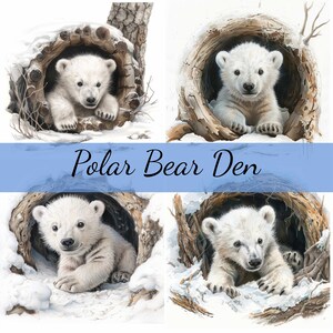 Polar Bear in Snow Den Clipart Bundle, 16 High-quality JPG, Craft Art ...