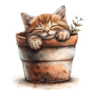 Cute Cat in a Flower Pot Clipart Bundle, 16 High-quality JPG, Craft Art ...
