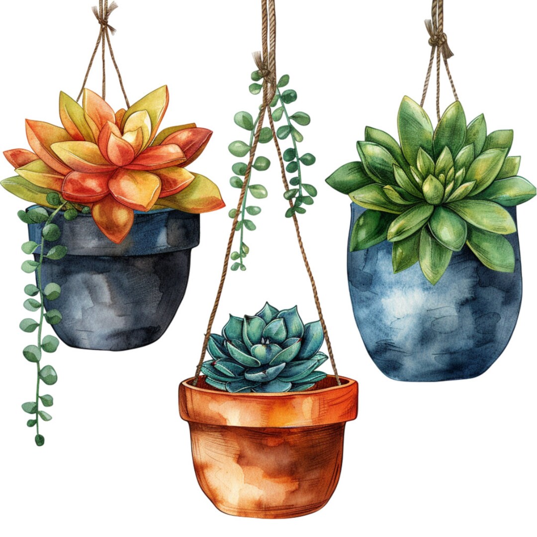 Succulents in Hanging Pots Clipart Bundle, 16 High-quality JPG, Craft ...