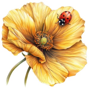Ladybug on Flowers Clipart Bundle, 16 High-quality JPG, Craft Art, Card ...