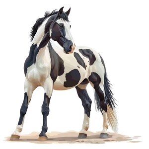 16 Paint Horse Clipart Bundle, 16 High-quality JPG, Craft Art, Card ...