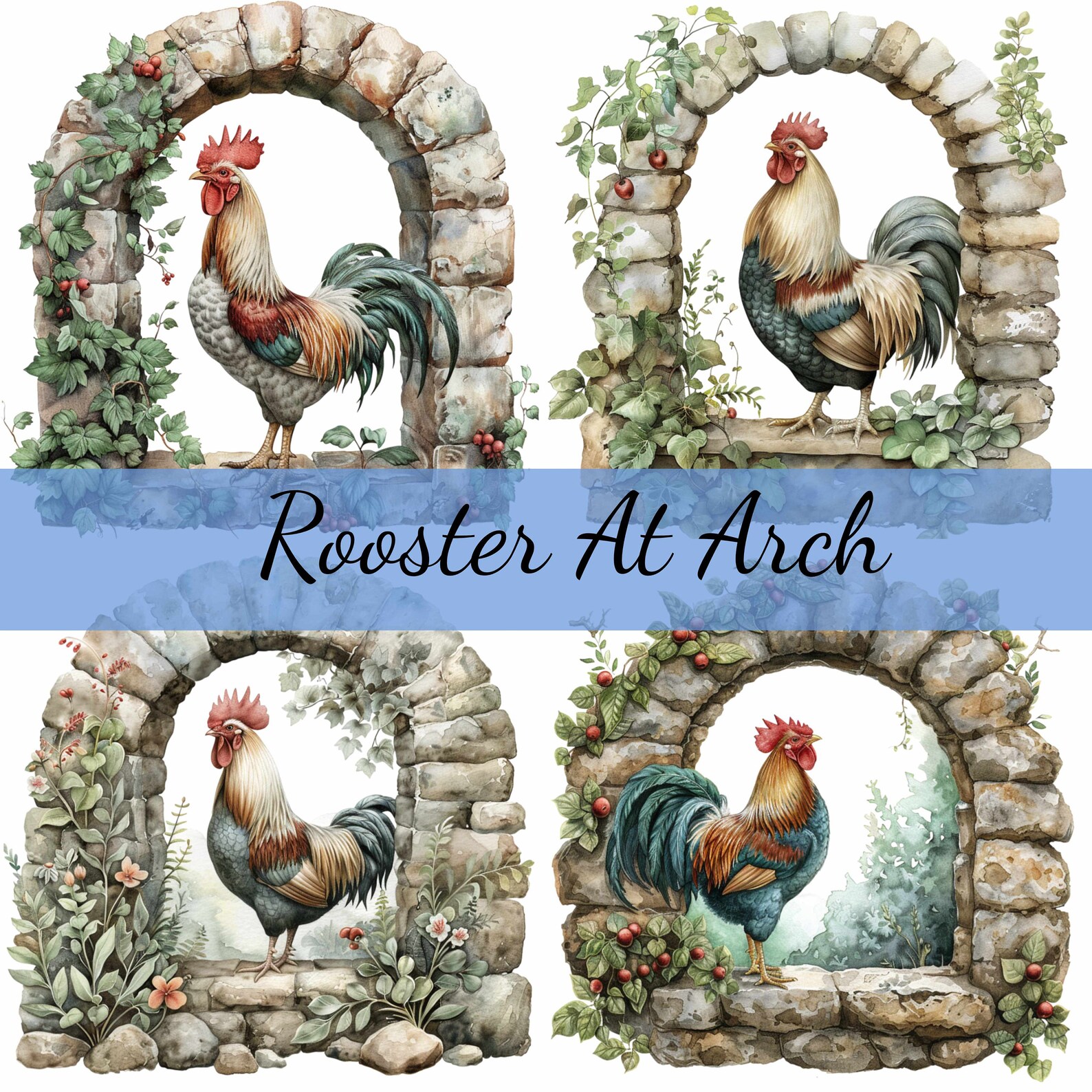 16 Chicken Rooster Under Stone Arch Clipart Bundle, High-quality JPG ...