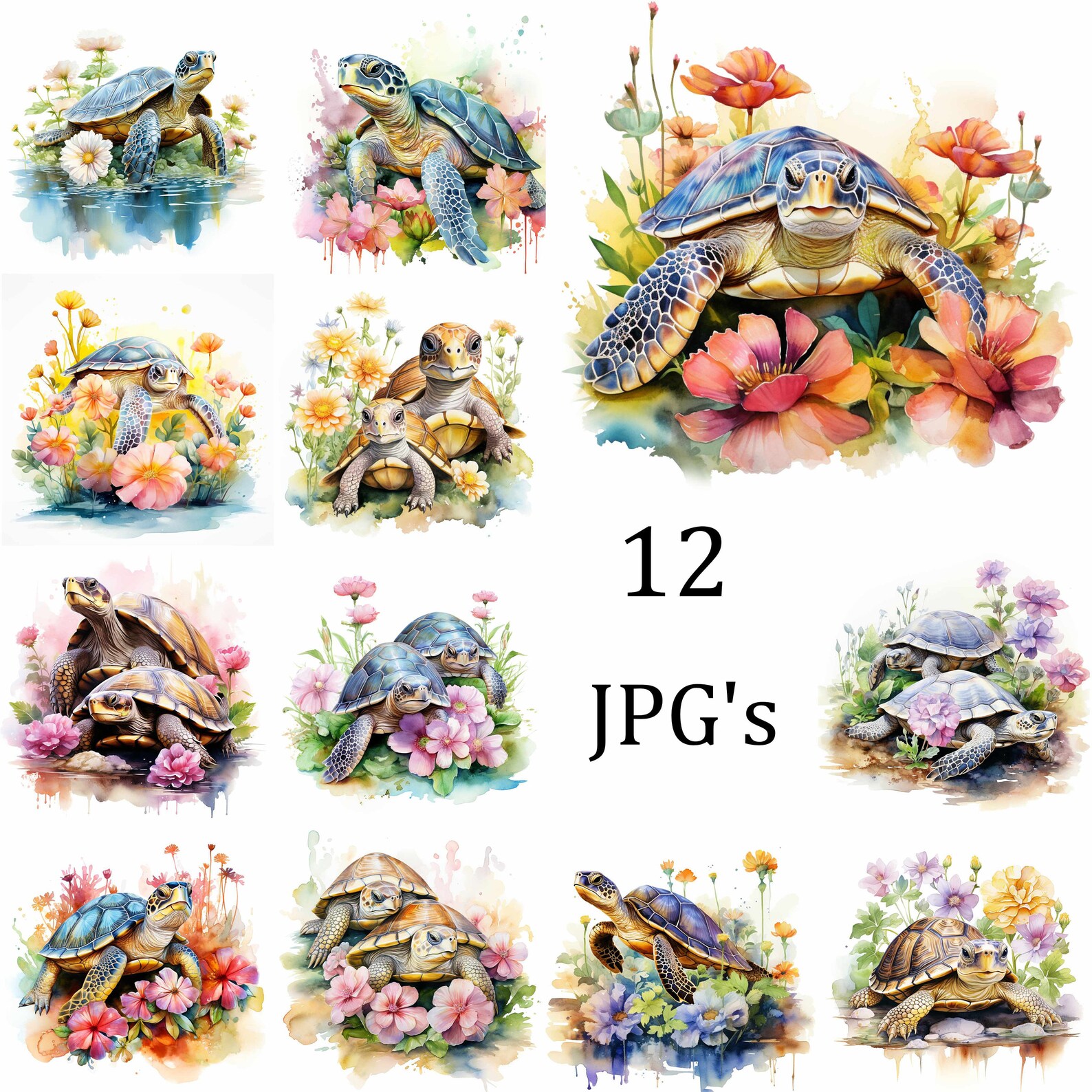 12 Turtle and Friends Clipart Bundle High-quality JPG - Etsy