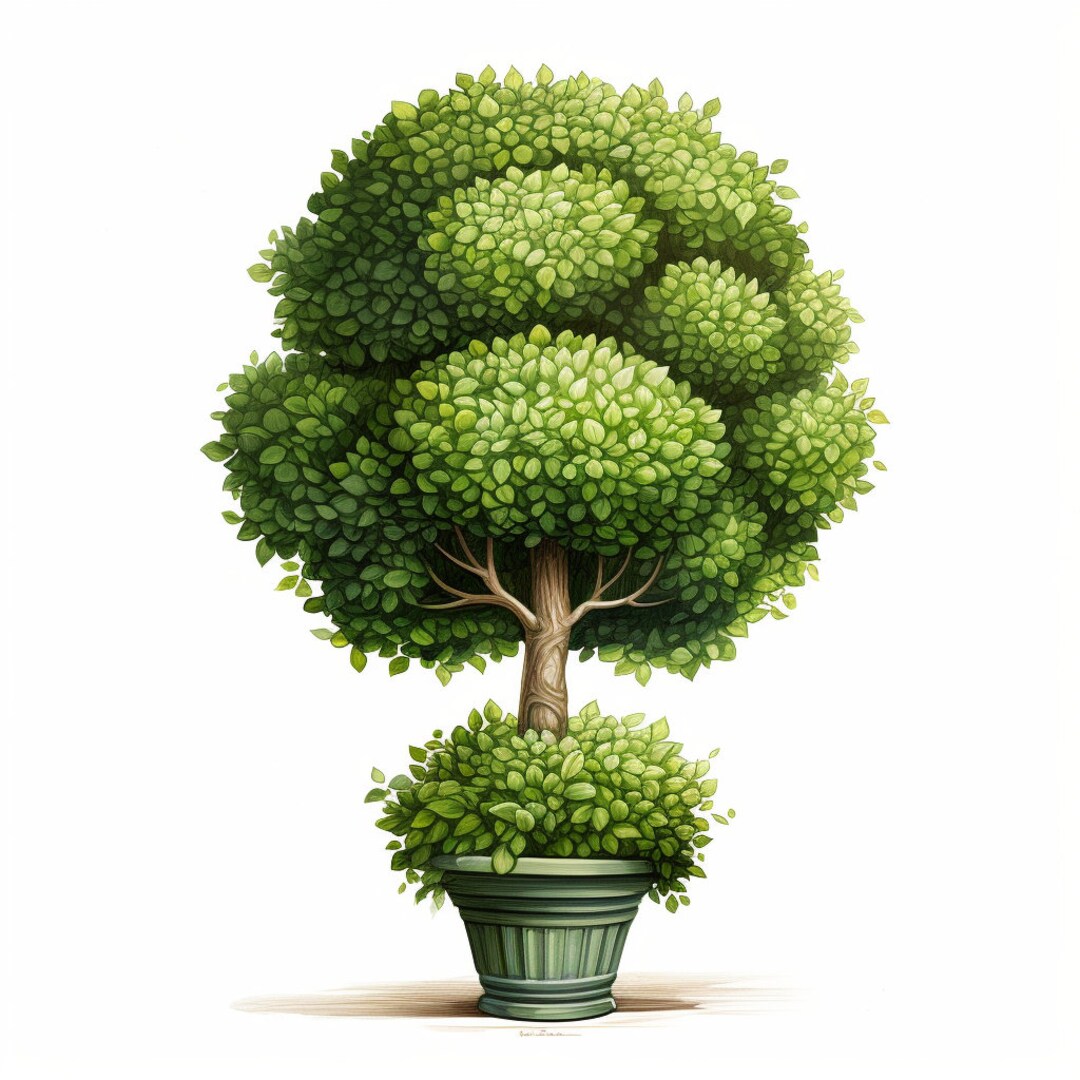 Tall Topiary Clipart Bundle, High-quality JPG, Craft Art, Card Making ...