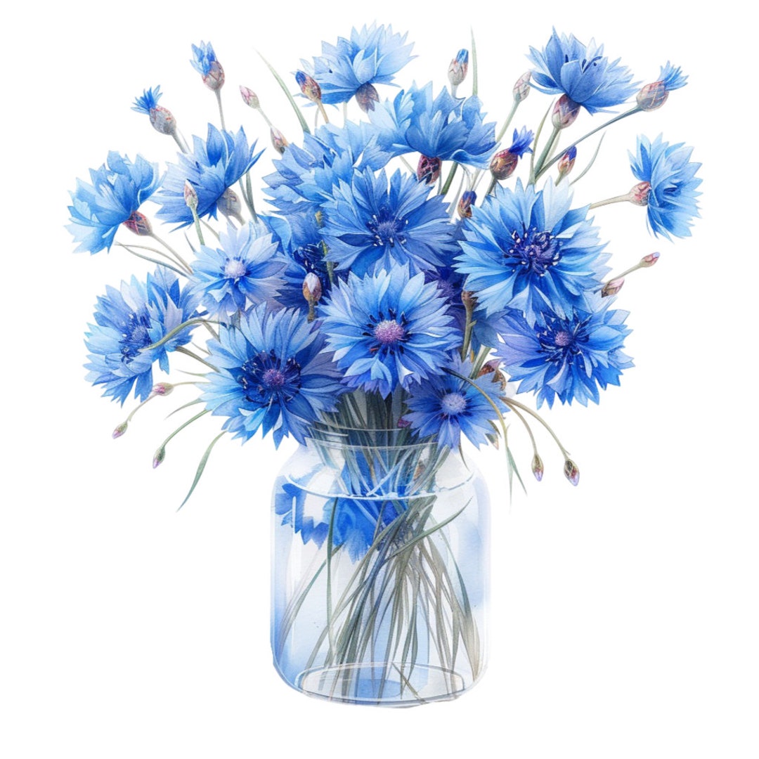 Cornflower in a Vase Blue Flower Clipart Bundle, 15 High-quality JPG ...