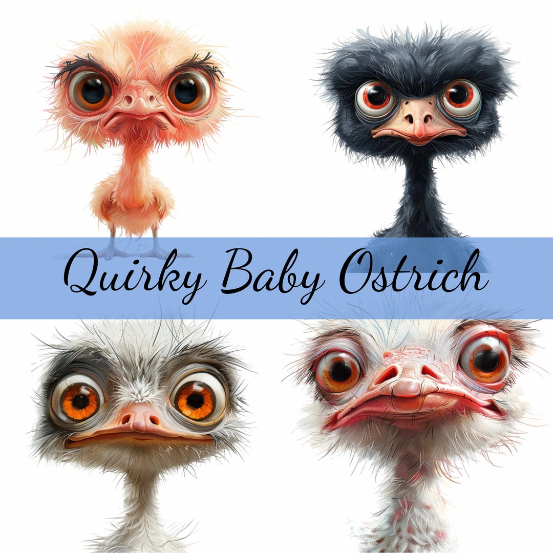 16 Quirky Baby Ostrich Clipart Bundle, 16 High-quality JPG, Craft Art ...