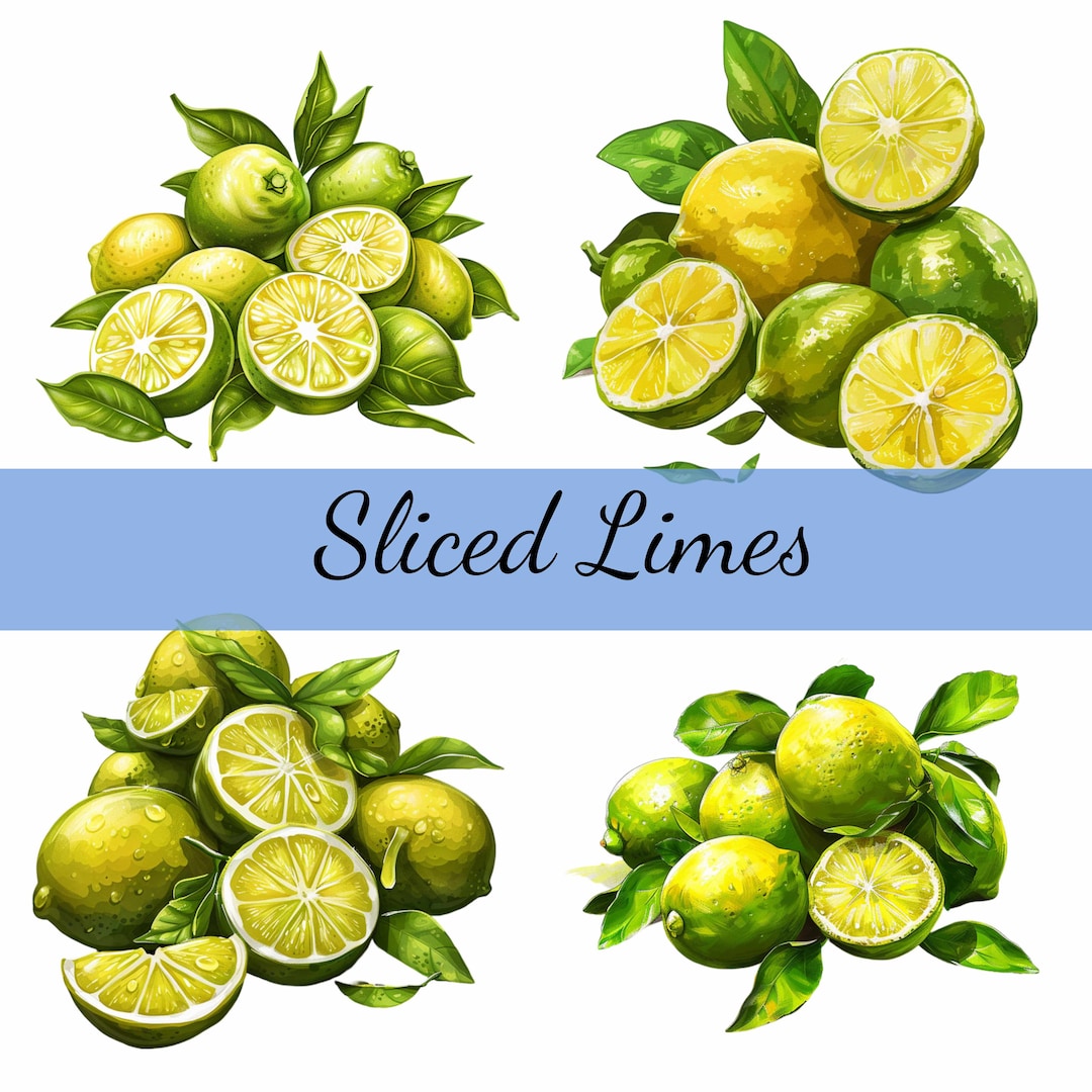 16 Pile of Limes Sliced Fruit Clipart Bundle, 16 High-quality JPG ...
