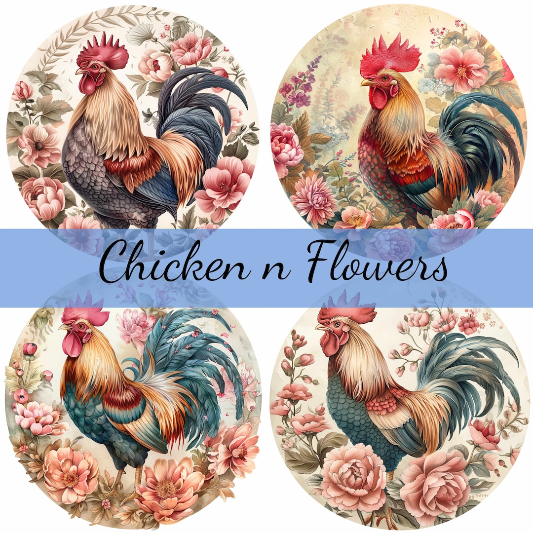 16 Vintage Rooster Chicken Circle Round Clipart Bundle, High-quality ...