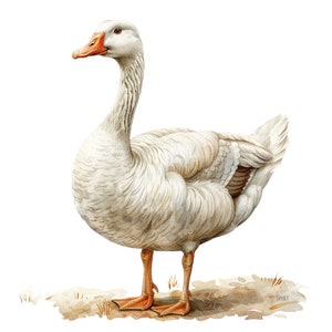 Pretty Goose Clipart Bundle, 15 High-quality JPG, Craft Art, Card ...