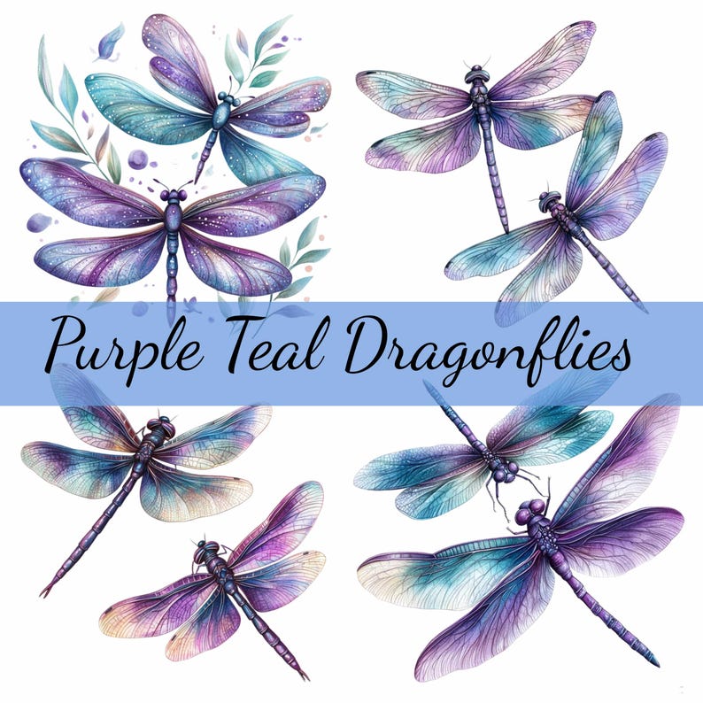 12 Folk Art Teal Purple Dragonfly Clipart Bundle, 12 Transparent PNG ...
