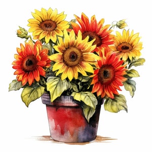 16 Red Sunflowers in Pots Clipart Bundle, High-quality PNG, Watercolor ...