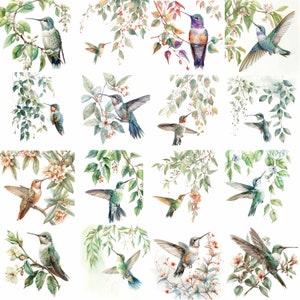 16 Hummingbird and Tree Clipart Bundle, 16 High-quality JPG, Craft Art ...