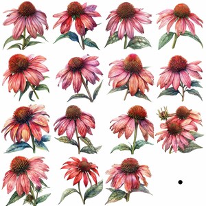 Red Coneflower Flower Clipart Bundle, 15 High-quality JPG, Craft Art ...