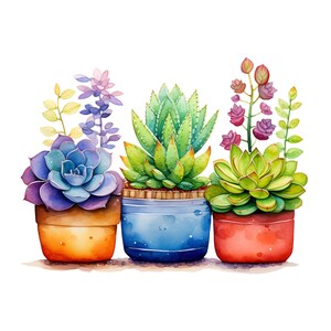 14 Succulents in Pots Clipart Bundle, High-quality JPG, Invitations ...