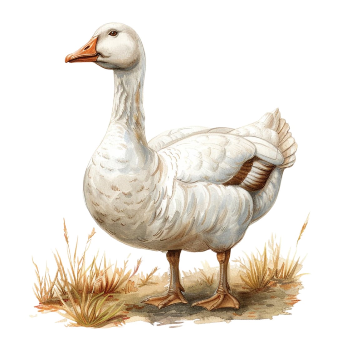 Pretty Goose Clipart Bundle, 15 High-quality JPG, Craft Art, Card ...