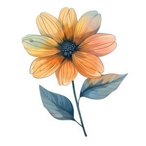 Boho Orange Teal Flowers Clipart Bundle, 16 High-quality JPG, Craft Art ...