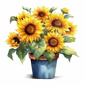 13 Sunflower in Pots Clipart Bundle, High-quality JPG, Nursery Art ...