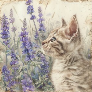 Cat in Purple Catmint Flowers Clipart Bundle, 16 High-quality JPG ...
