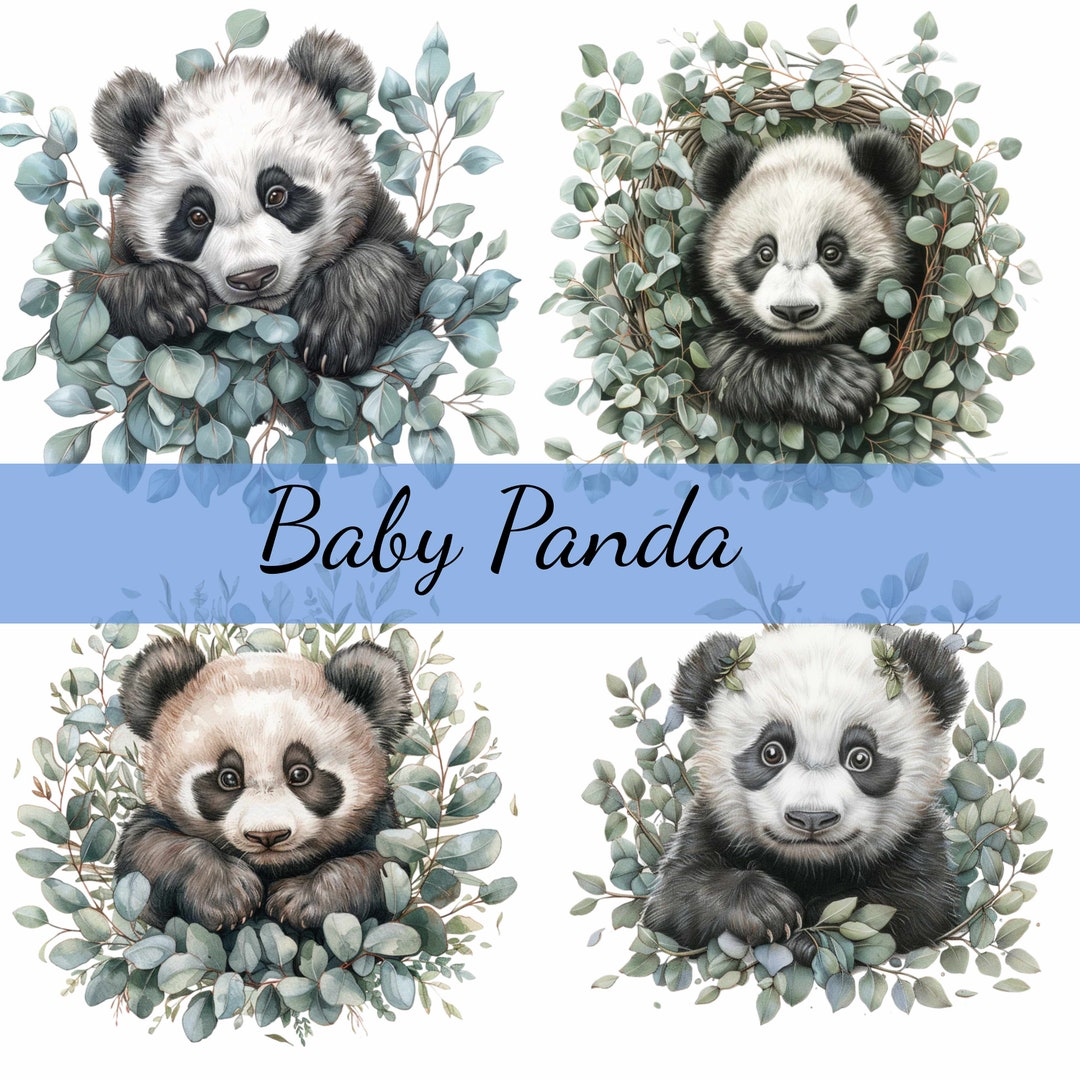 16 Cute Panda Bear With Eucalyptus Clipart Bundle, 16 High-quality JPG ...