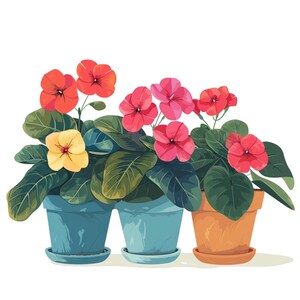16 Impatients Flowers in Pots Clipart Bundle, 16 High-quality JPG ...