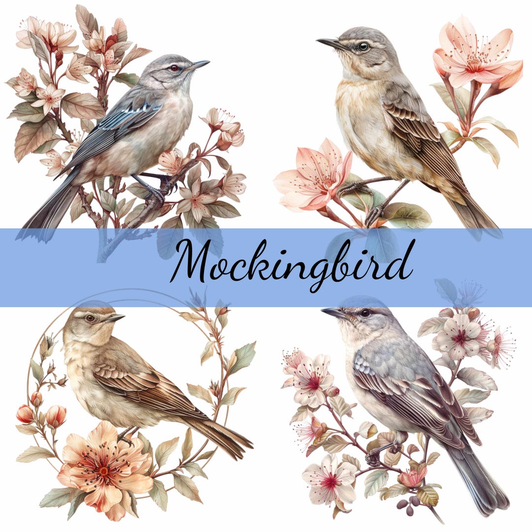 16 Mockingbird Bird on Flower Branch Clipart Bundle, High-quality JPG ...