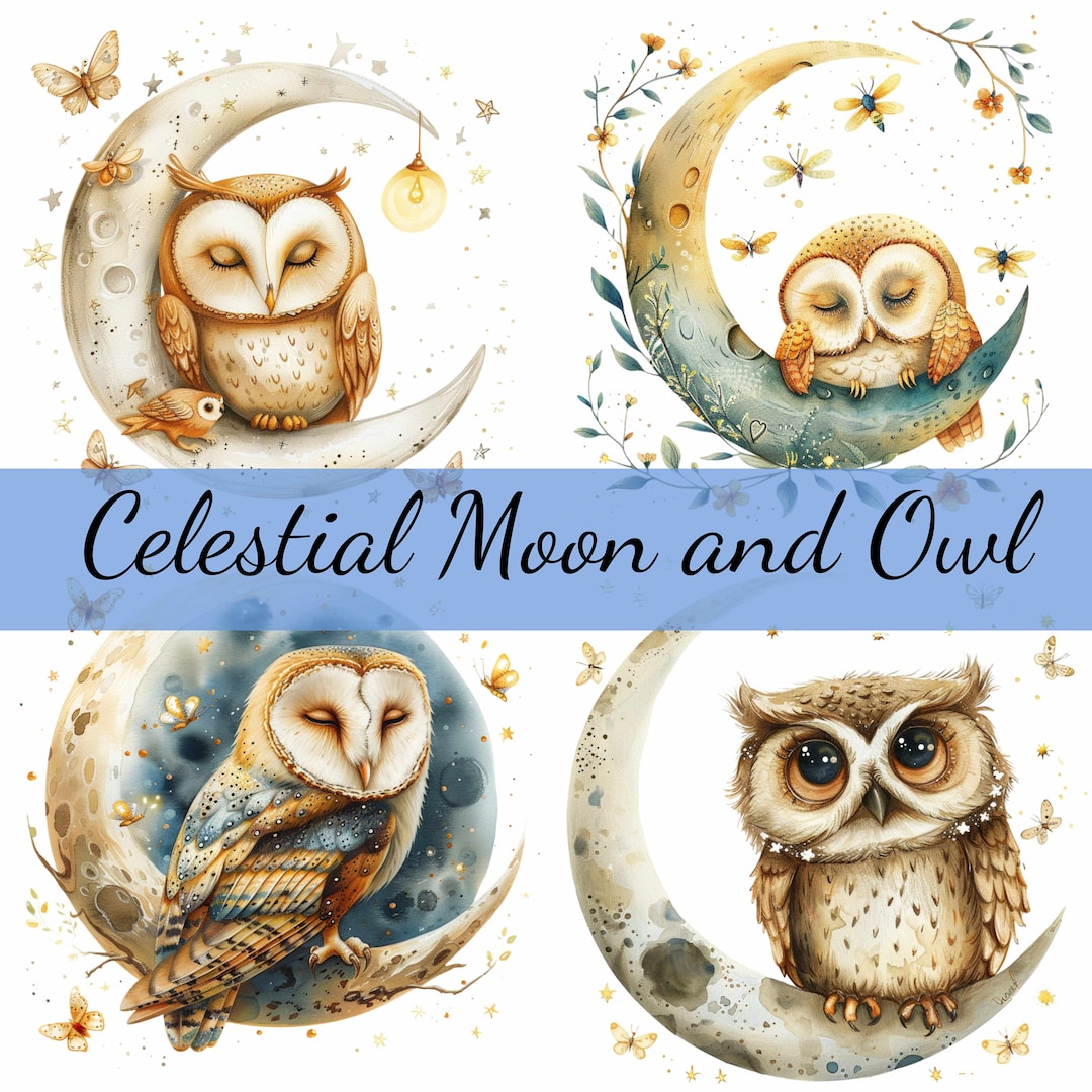 Owl and Moon Celestial Clipart Bundle, 16 High-quality JPG, Craft Art ...