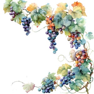 Grape Corner Frame Clipart Bundle, 16 High-quality JPG, Craft Art, Card ...
