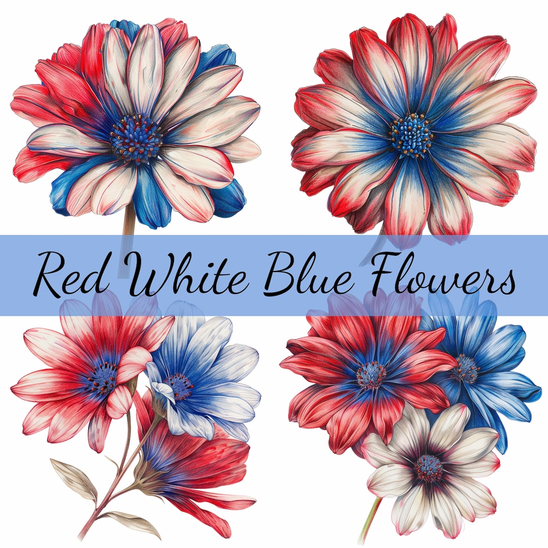 Vibrant 4th Red White Blue Flower Clipart Bundle, 16 High-quality JPG ...