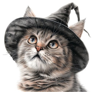 Cat With a Witch Hat Clipart Bundle, 16 High-quality JPG, Craft Art ...