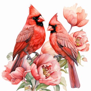 14 Cardinal Friends Flowers Clipart Bundle, High-quality JPG ...