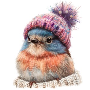Cute Bird With Knit Hat Clipart Bundle, 16 High-quality JPG, Craft Art ...