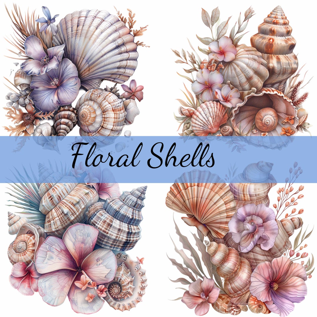 16 Sea Shells With Flowers Clipart Bundle, 16 High-quality JPG, Craft ...