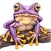 Cute Frog on a Log Clipart Bundle, 15 High-quality JPG, Craft Art, Card ...
