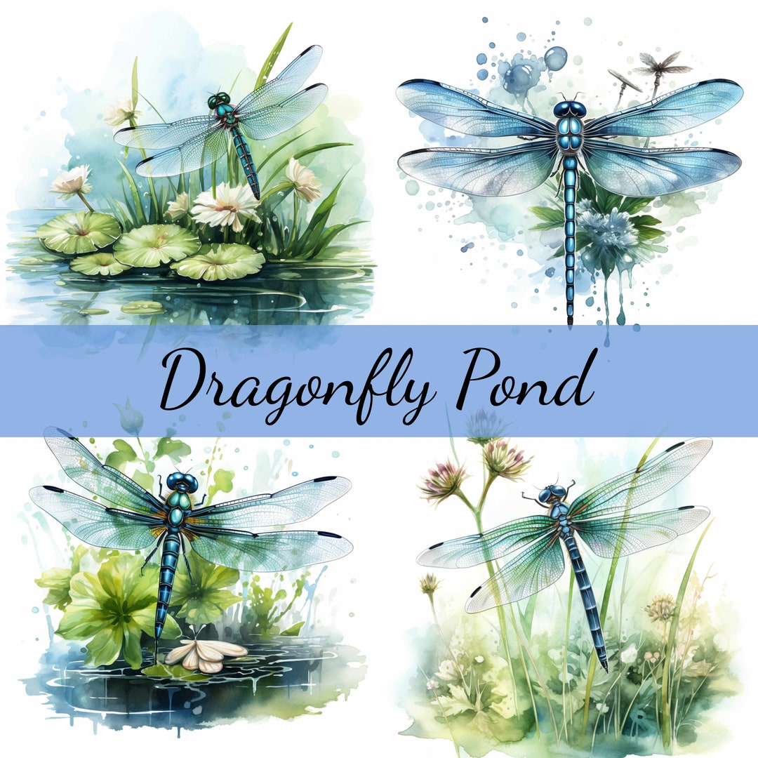 12 Dragonfly on Pond Clipart Bundle, High-quality JPG, Craft Art, Card ...