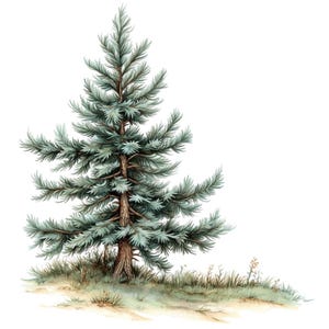 16 Pine Tree Border Frame Corner Clipart Bundle 16 Transparent PNG ...