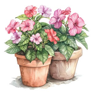 16 Impatients Flowers in Pots Clipart Bundle, 16 High-quality JPG ...