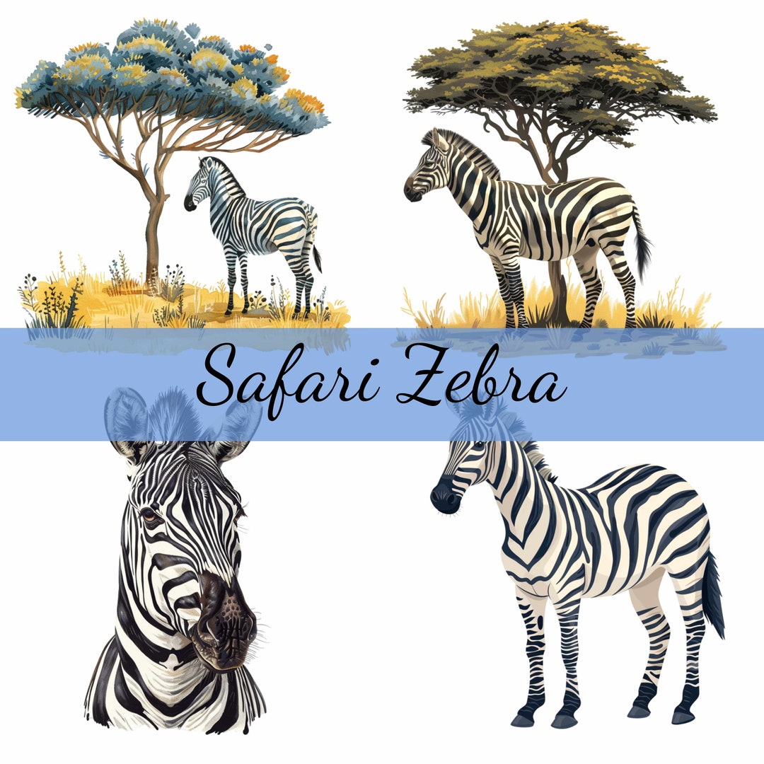 15 Safari Zebra Clipart Bundle, 15 High-quality JPG, Craft Art, Card ...