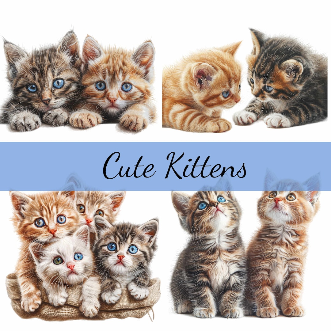 15 Cute Playful Kittens Clipart Bundle, 15 High-quality JPG, Craft Art ...