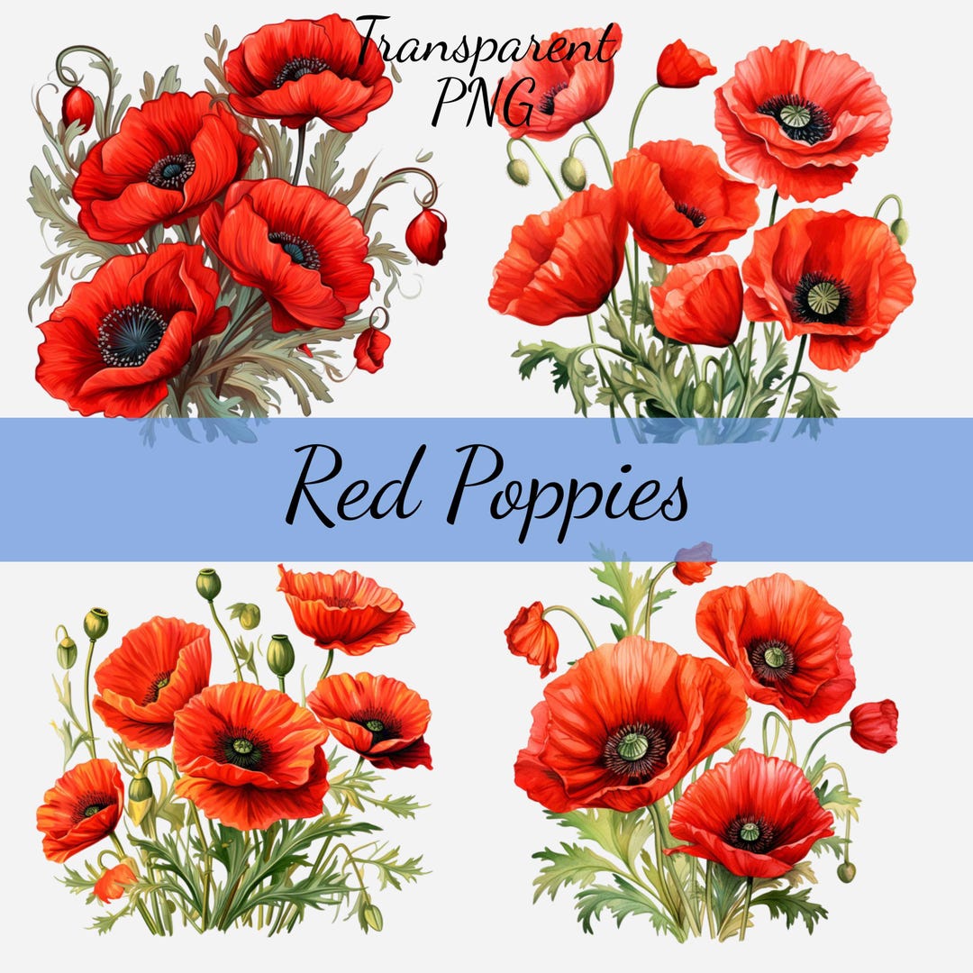 16 Red Poppy Flower Design Clipart Bundle 16 Transparent PNG Download ...
