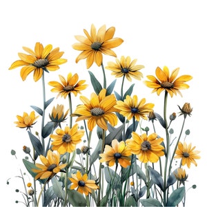 Colorful Daisy Flowers in a Row Clipart Bundle, 16 High-quality JPG ...