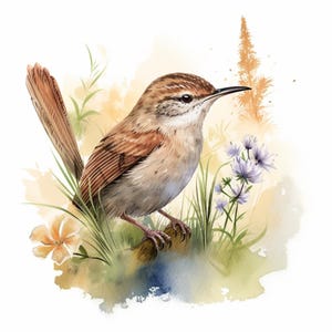 14 Wren Bird in Grass Clipart Bundle, High-quality JPG, Craft Art, Card ...