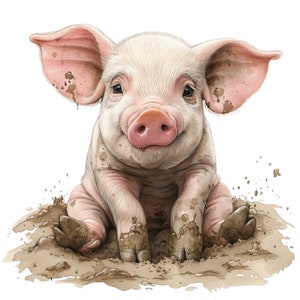 16 Pig in Mud Puddle Clipart Bundle, 16 High-quality JPG, Craft Art ...