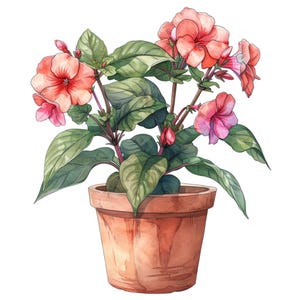 16 Impatients Flowers in Pots Clipart Bundle, 16 High-quality JPG ...