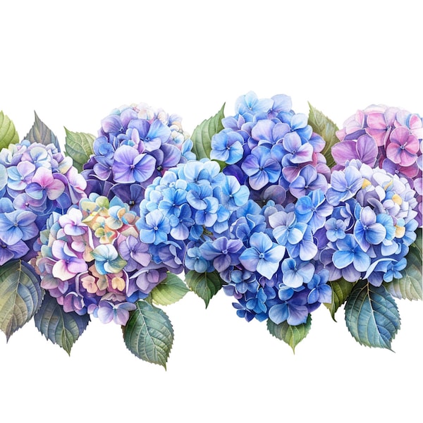 Hydrangea Clip Art - Etsy